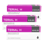 Sued & Fargesa » Terial H