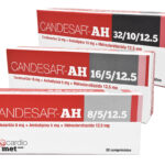 Sued & Fargesa » Candesar AH